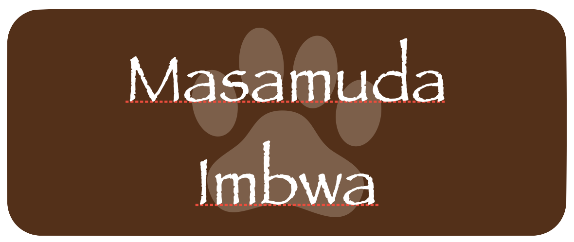 Welkom bij Masamuda Imbwa - Masamuda Imbwa